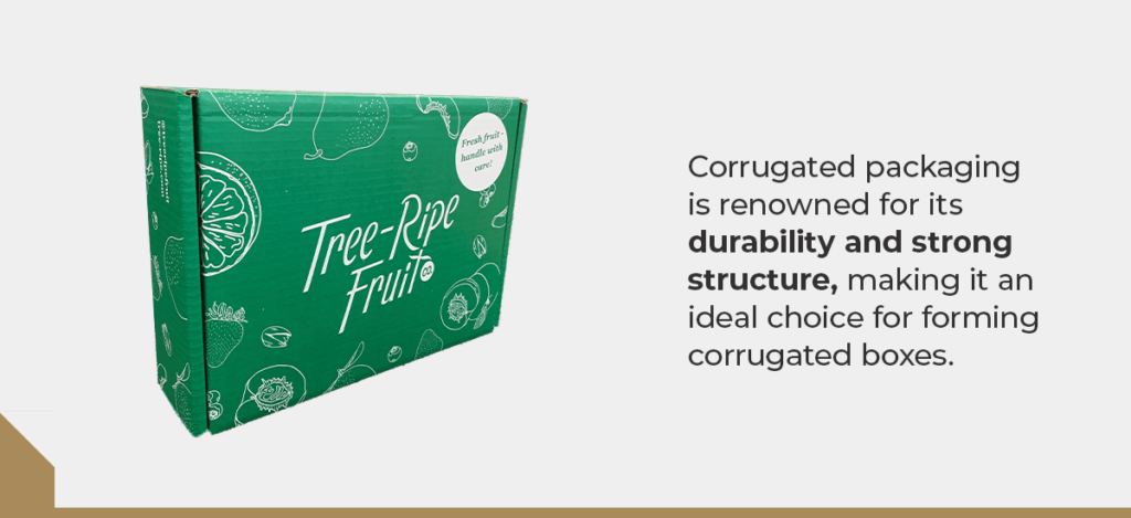 Why Custom Boxes for Food Are Essential for Bagged Goods